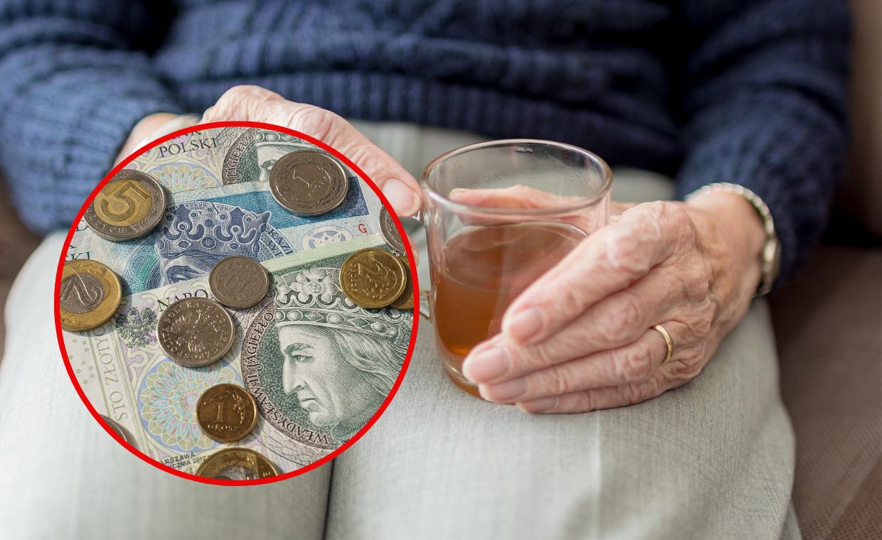 Świadczenie wspierające. Ile wyniesie w 2026 roku?