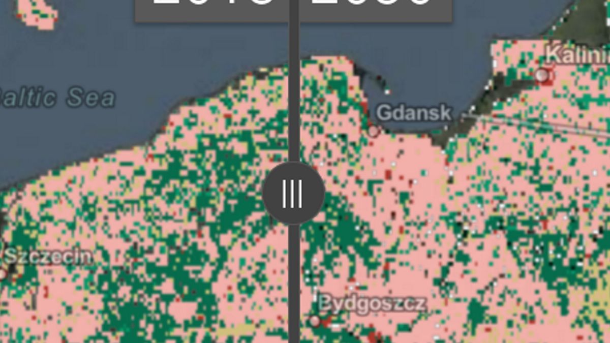 Nasza planeta w 2050 roku. Mapa pokazuje, jak będzie wyglądać świat