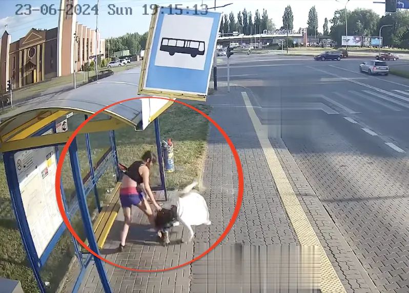 Zwrot ws. głośnego pobicia. Jest decyzja sądu - WP Wiadomości Zwrot ws. głośnego pobicia. Jest decyzja sądu - WP Wiadomości