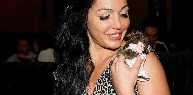 Polska Angelina odzyskała małpkę - WP Gwiazdy