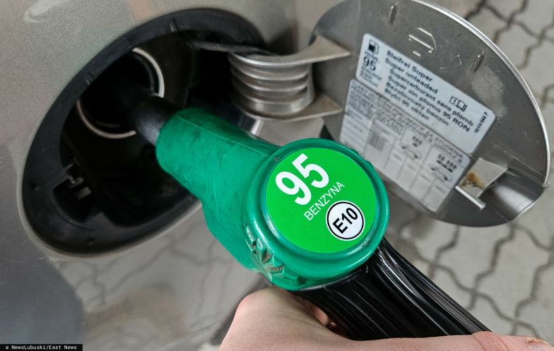 Ceny paliw: Pb95, Pb98, ON, LPG. Prognoza 8-14 stycznia 2024 - Money.pl