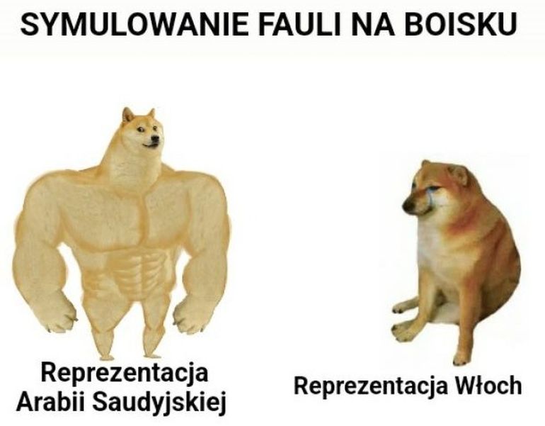 "A idź pan w cholerę". Zobacz memy po wygranej Polaków