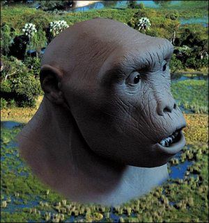 Sahelanthropus - Dzieje człowieka - WP Książki