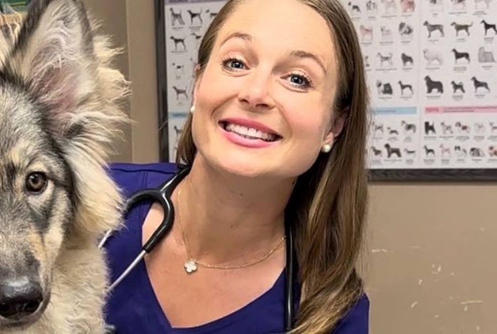 Pokazała hybrydę wilka i psa. Ludzie nie dowierzają, ile ma miesięcy ...