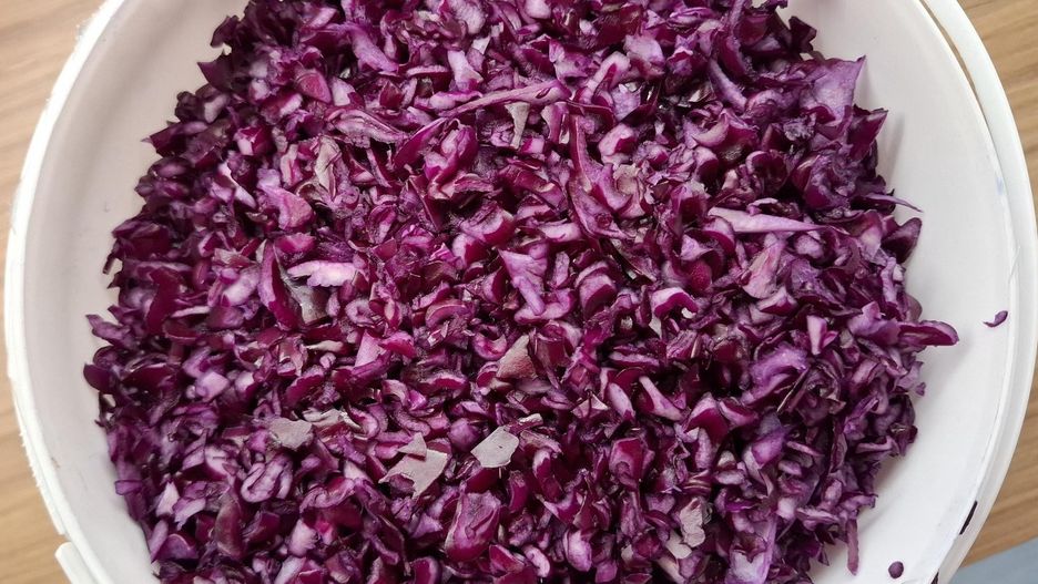 Regeneruje wątrobę, chroni przed cukrzycą. Pij szklankę dziennie przez ...