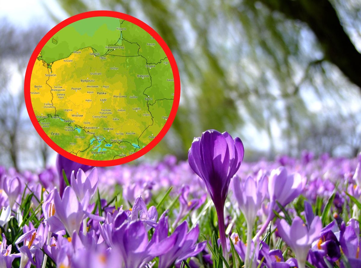Pogoda na weekend. Wiosna w natarciu - WP Wiadomości