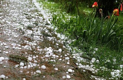 Gradobicie nad Polską - Wiadomości z Krakowa WP