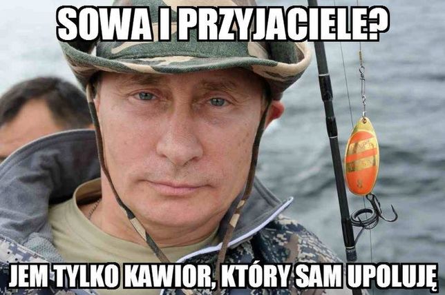 Internet kpi z Sikorskiego - memy - WP Wiadomości