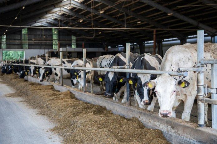 Bez szkolenia stracisz 30 proc. dopłat. Ważny obowiązek dla rolników