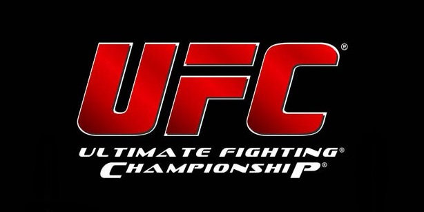 UFC: David Allen zachwycony debiutem w Polsce - WP SportoweFakty