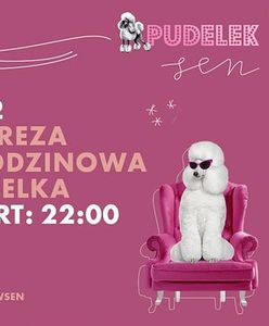 pudelek - Najnowsze plotki - WP Gwiazdy