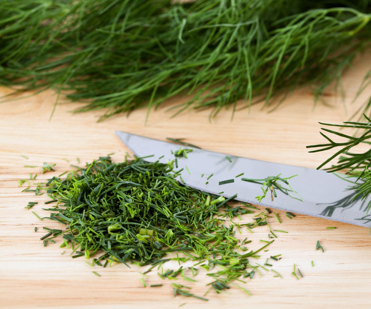 Genialny patent na koperek. Urośnie błyskawicznie - WP Kobieta