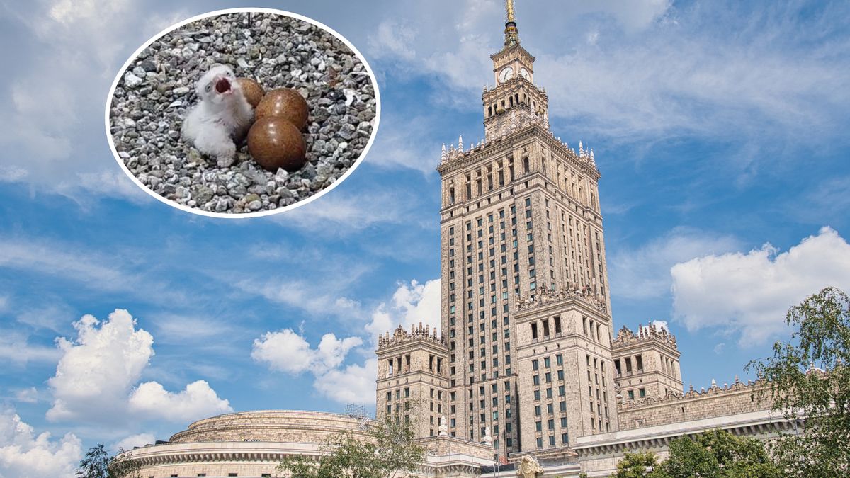 Poruszenie w stolicy. "Z niecierpliwością czekamy na kolejne"