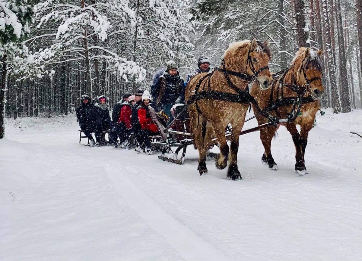 Ukochana atrakcja Polaków zimą. Gdzie wybrać się na kulig? - WP Turystyka