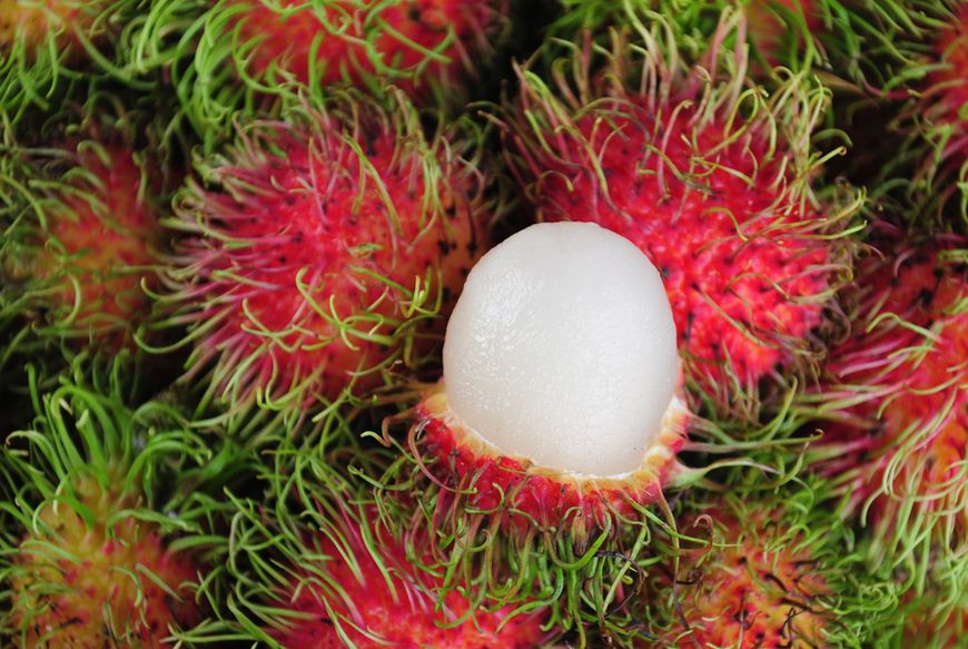 Tajemniczy rambutan - Jakie właściwości ma rambutan? | WP abcZdrowie