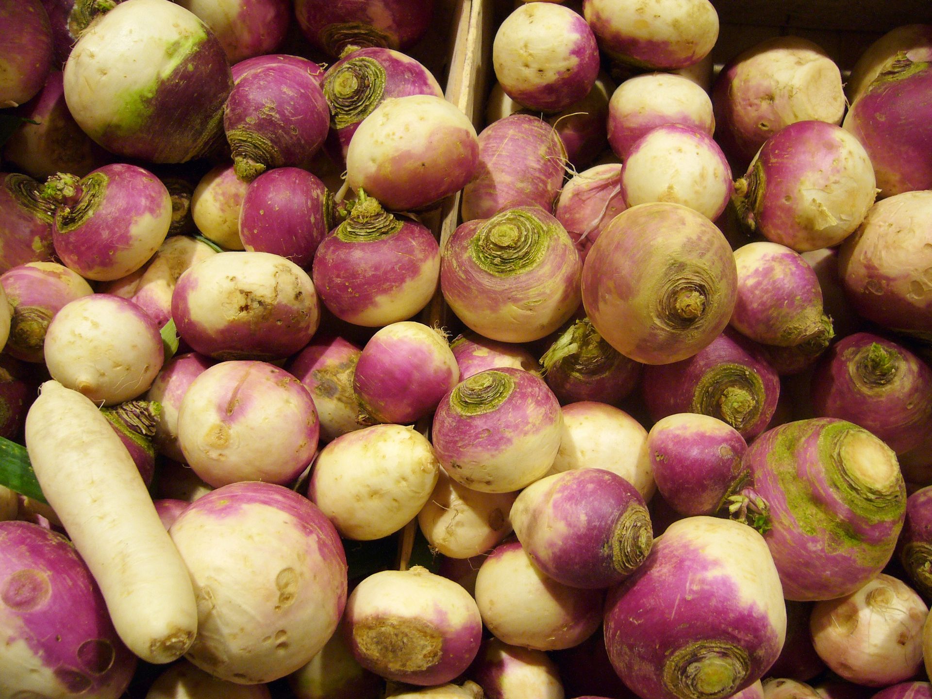 Brukiew – norweskie warzywo pierwszej potrzeby - WP Kuchnia