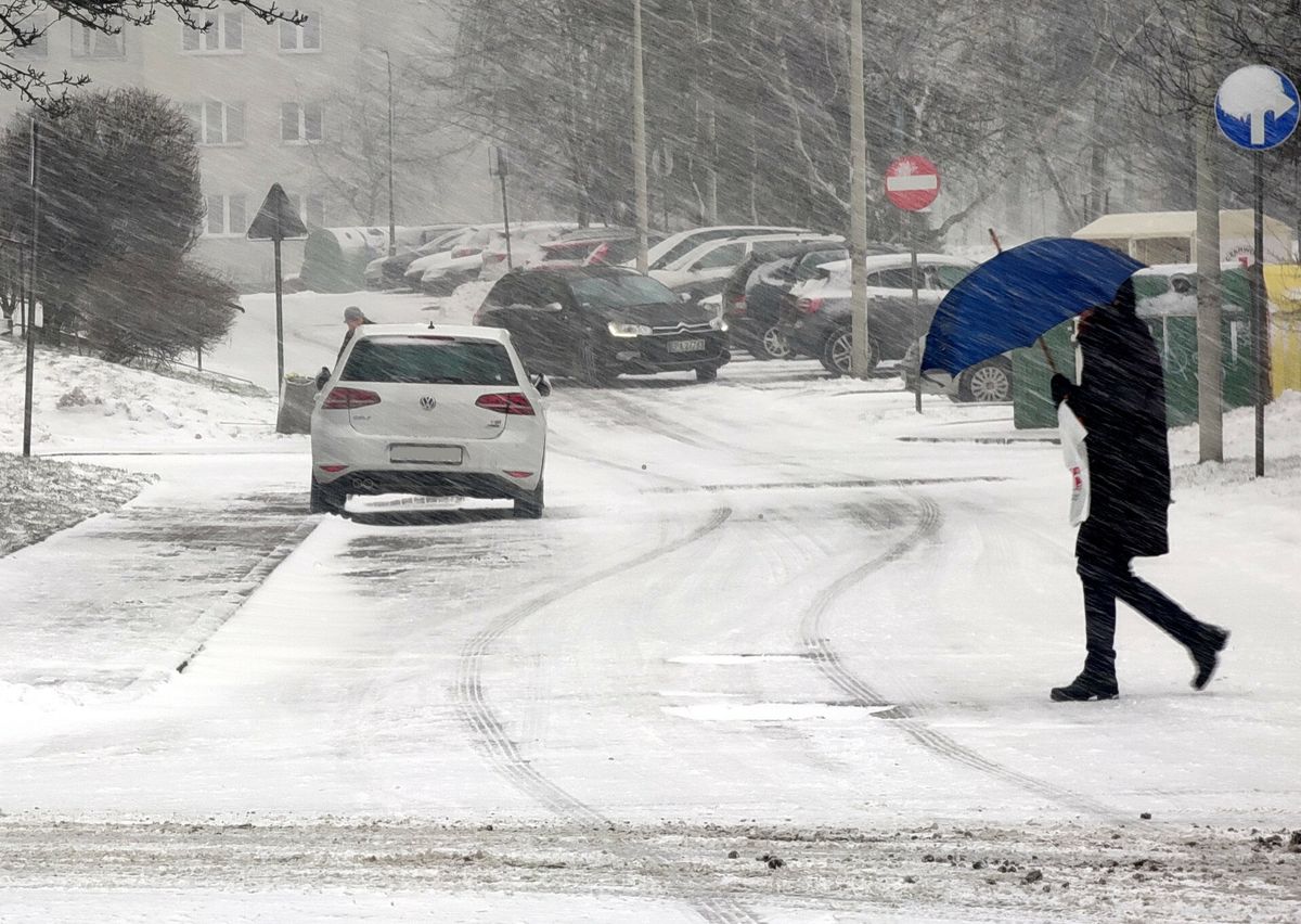 Padło pytanie o srogą zimę. "Na 100 procent" - WP Wiadomości