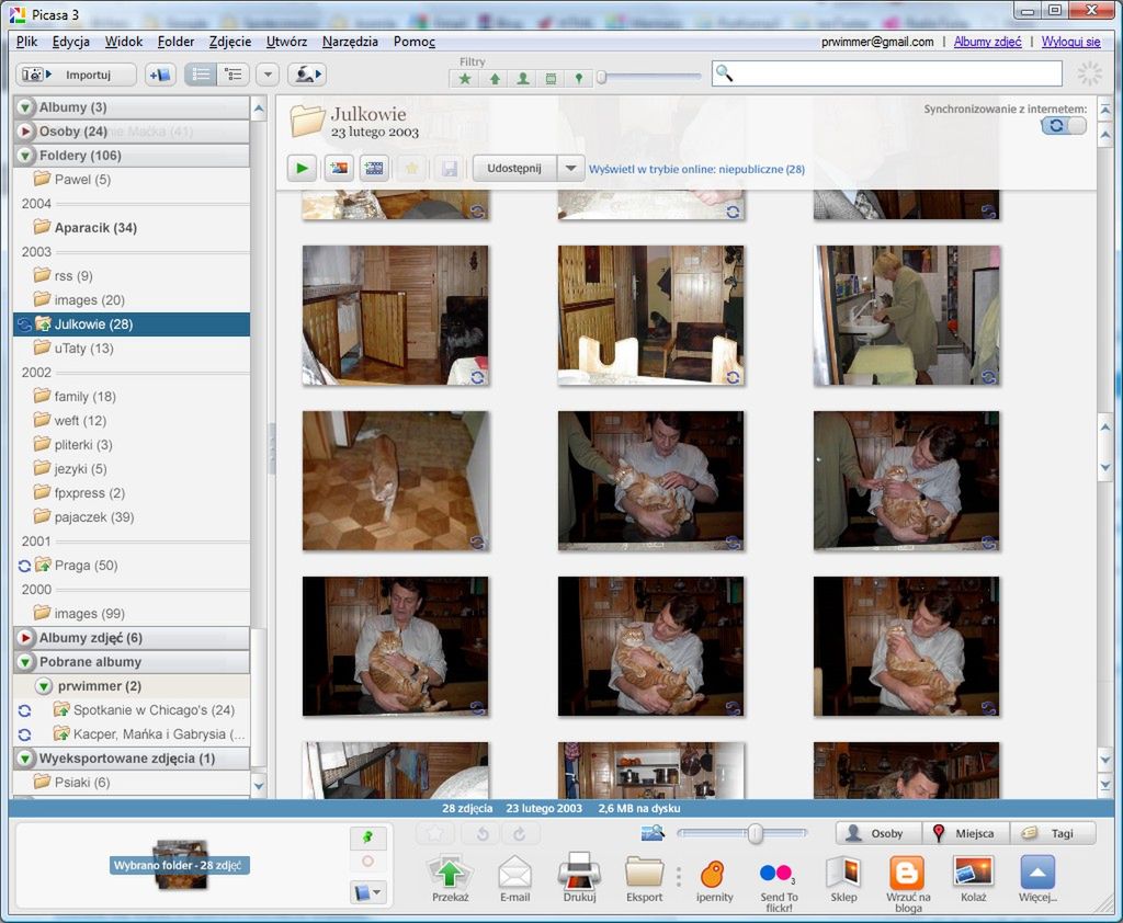 Picasa 3.6 wreszcie po polsku