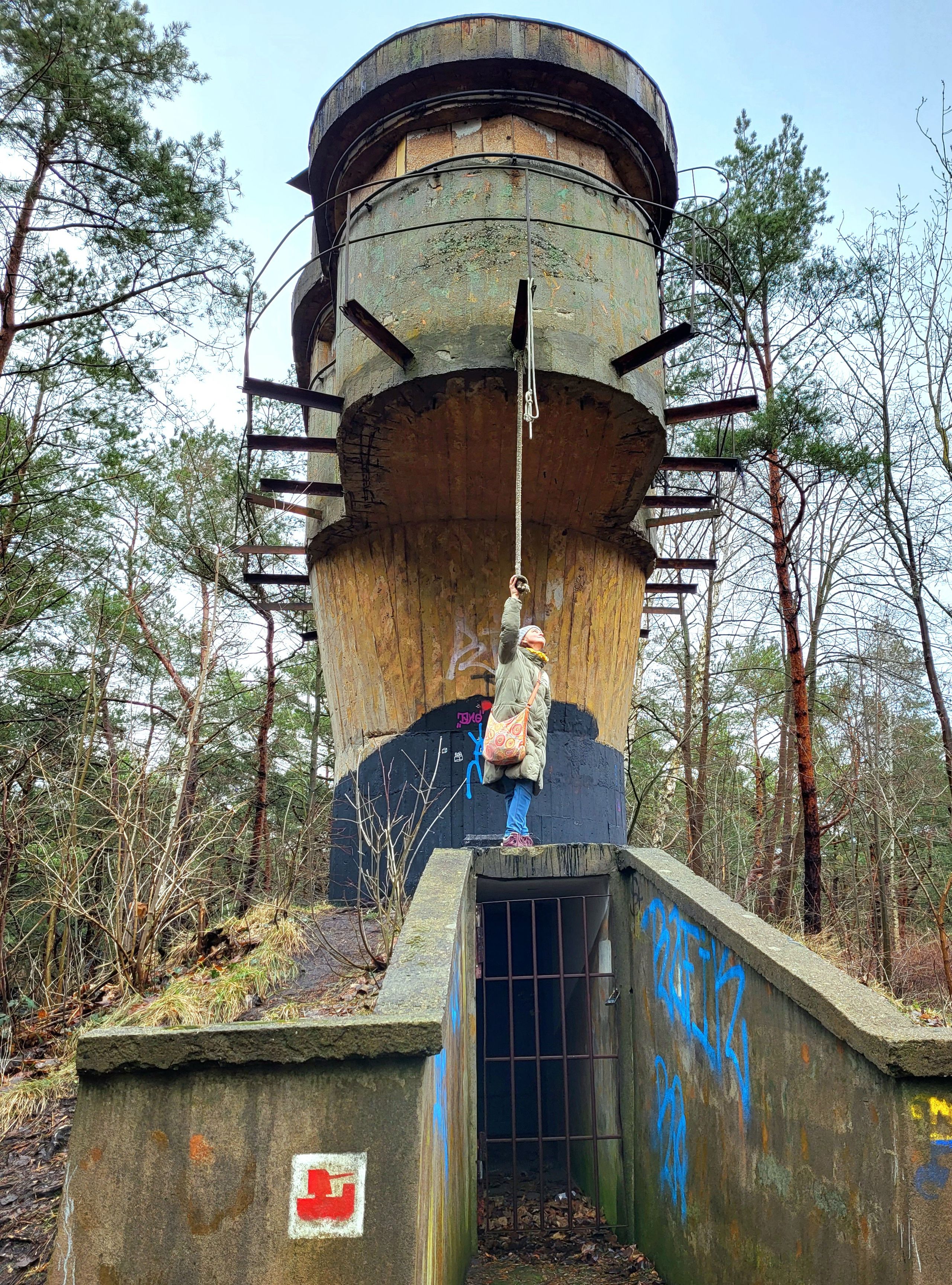 Foki, torosy i łabędzie śpiące przy wraku okrętu. Letni kurort zimą ...