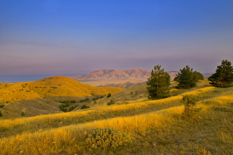Krym stepowy - północna część Półwyspu Krymskiego - WP Turystyka