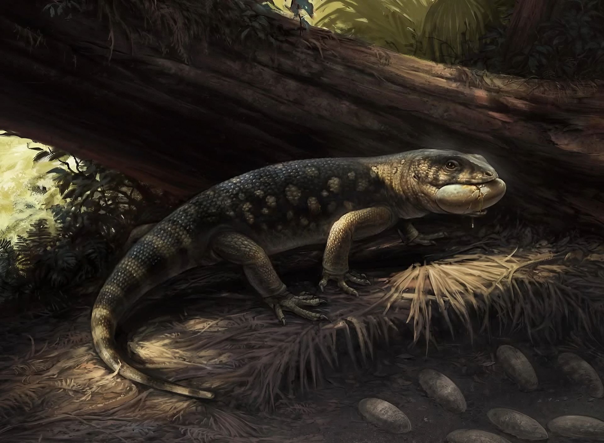 "Książę goblinów". Naukowcy odkryli wielkiego gada sprzed 76 mln lat