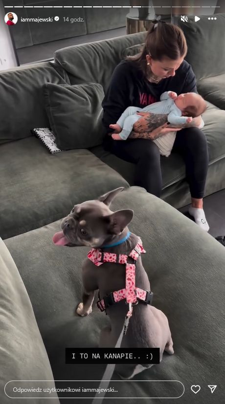 Majewski relacjonuje co z Didi. Pokazał, jak ATAKOWAŁA Romeo - Pudelek