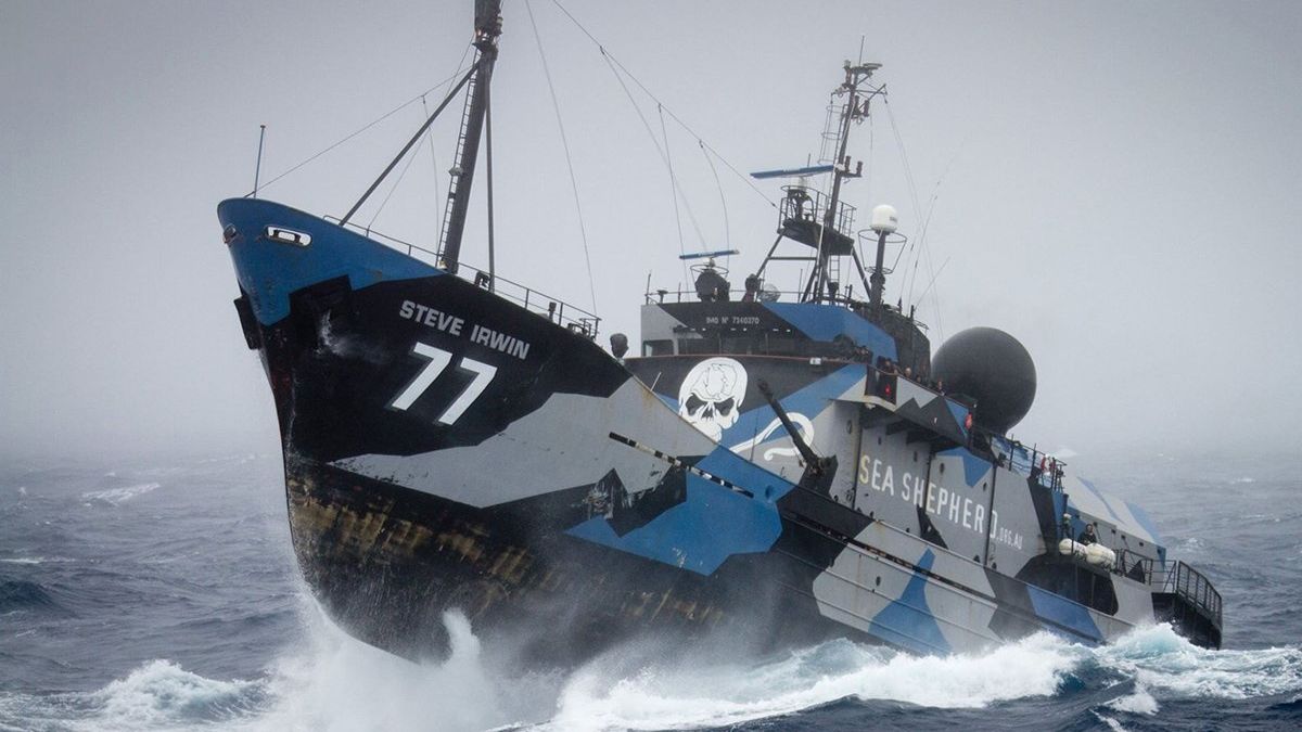 Sea Shepherd: ekologiczny zamordyzm. Koniec proszenia, czas na walkę