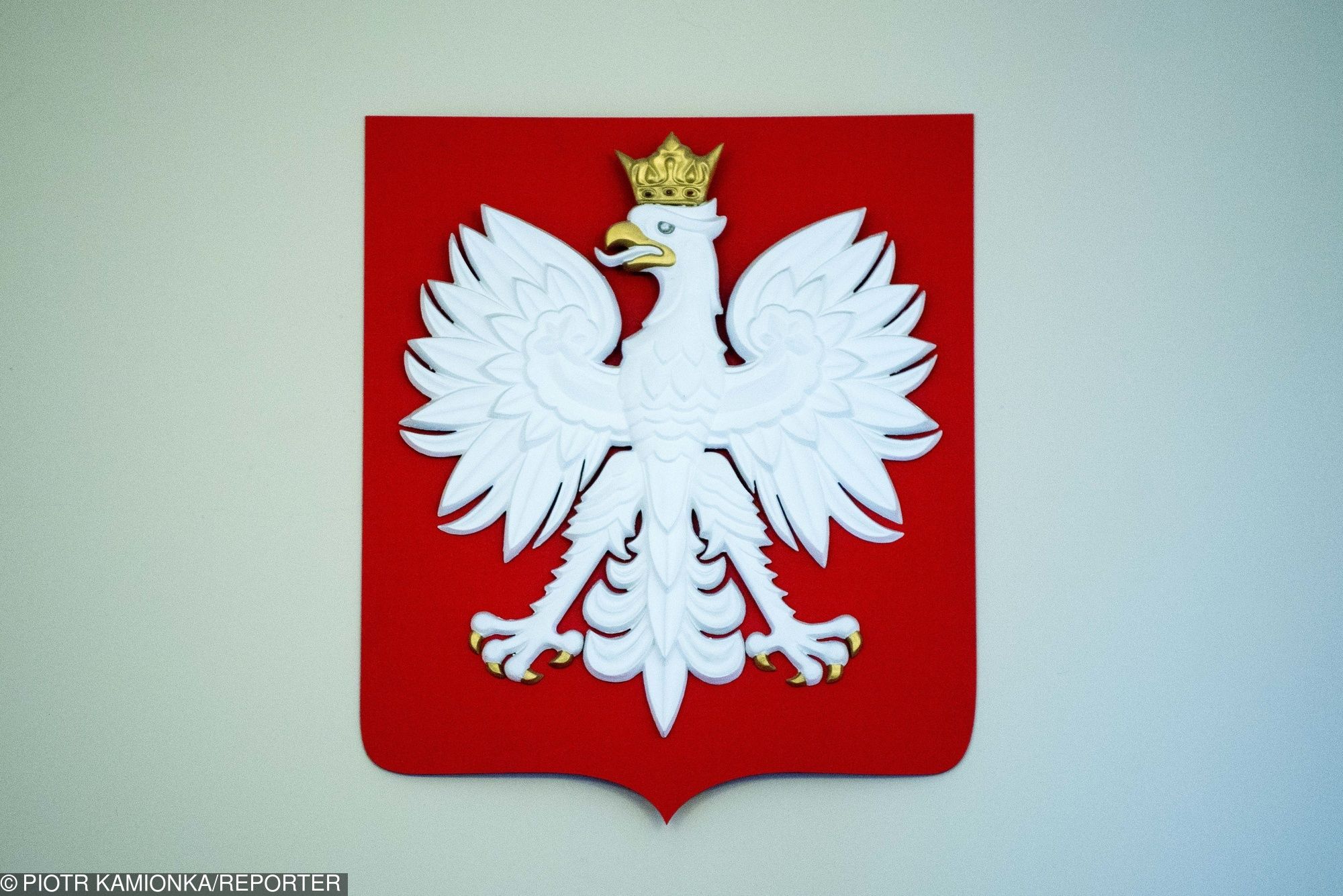 Polska będzie miała nowe godło. Biały orzeł przejdzie metamorfozę - WP ...