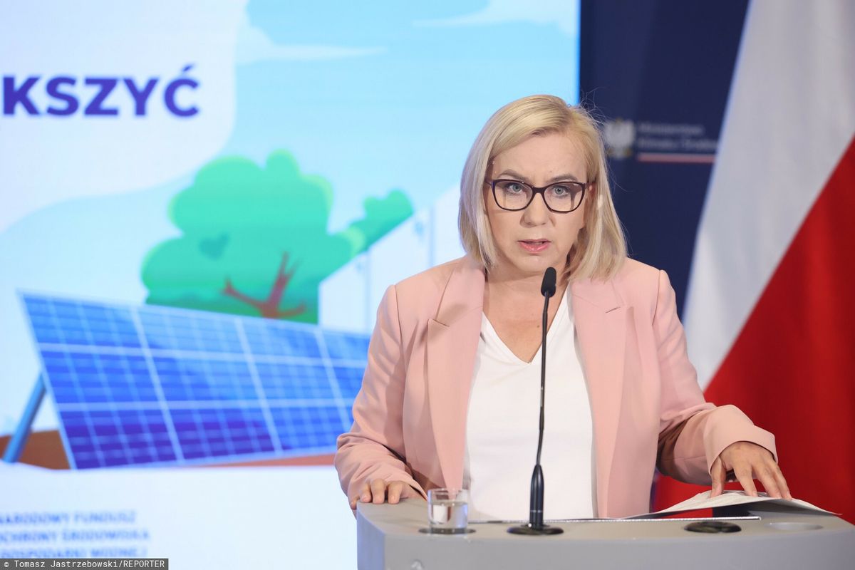 "Zielony kompas dla Polski". Cel będzie ambitny. 792 mld zł na ...