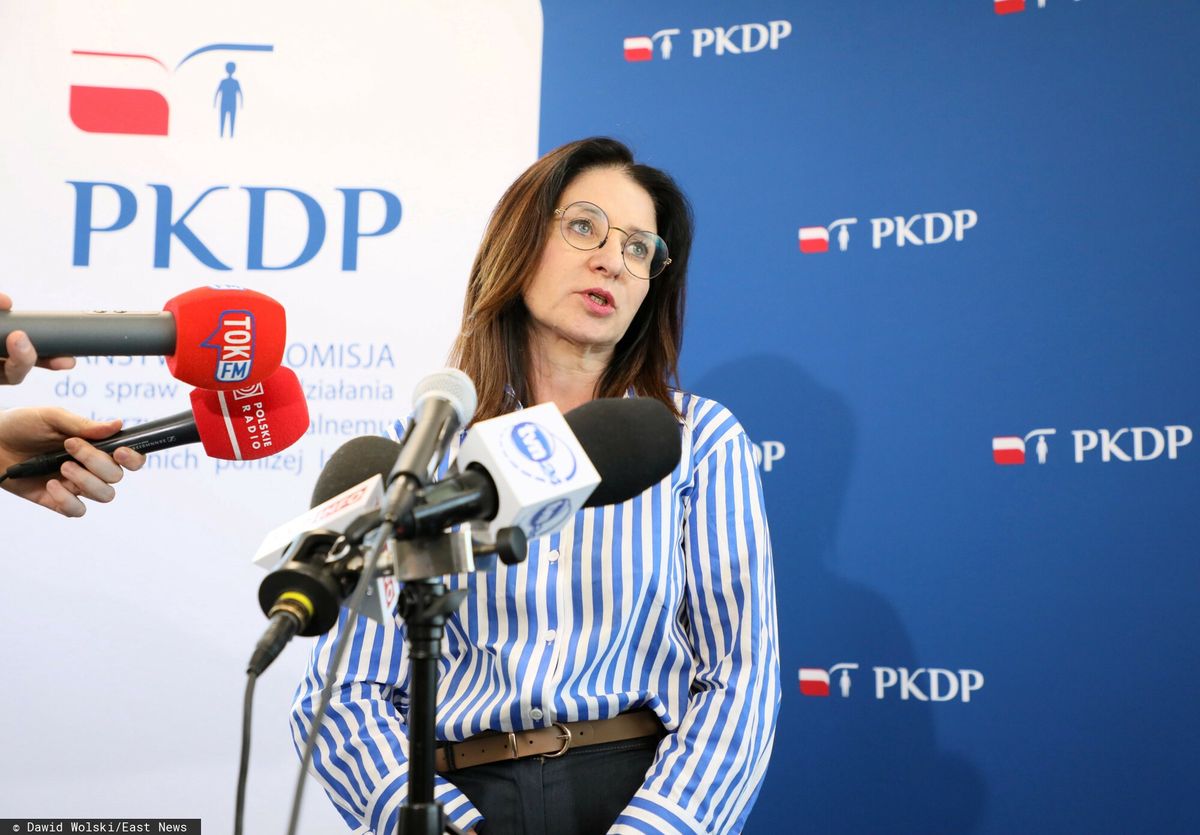 Przestępstwo W Samej Komisji Ds Pedofilii Są Wnioski O Odwołanie Wp