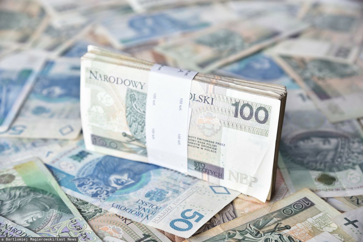 Polacy w PPK. Zaskakujące dane - Money.pl