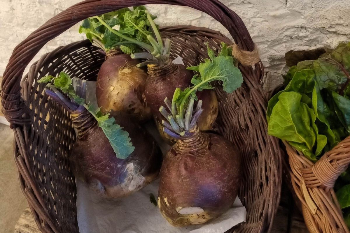 Na Podbeskidziu jedzą jesienią kwaki. Słodko-ostry smak podkręci ...