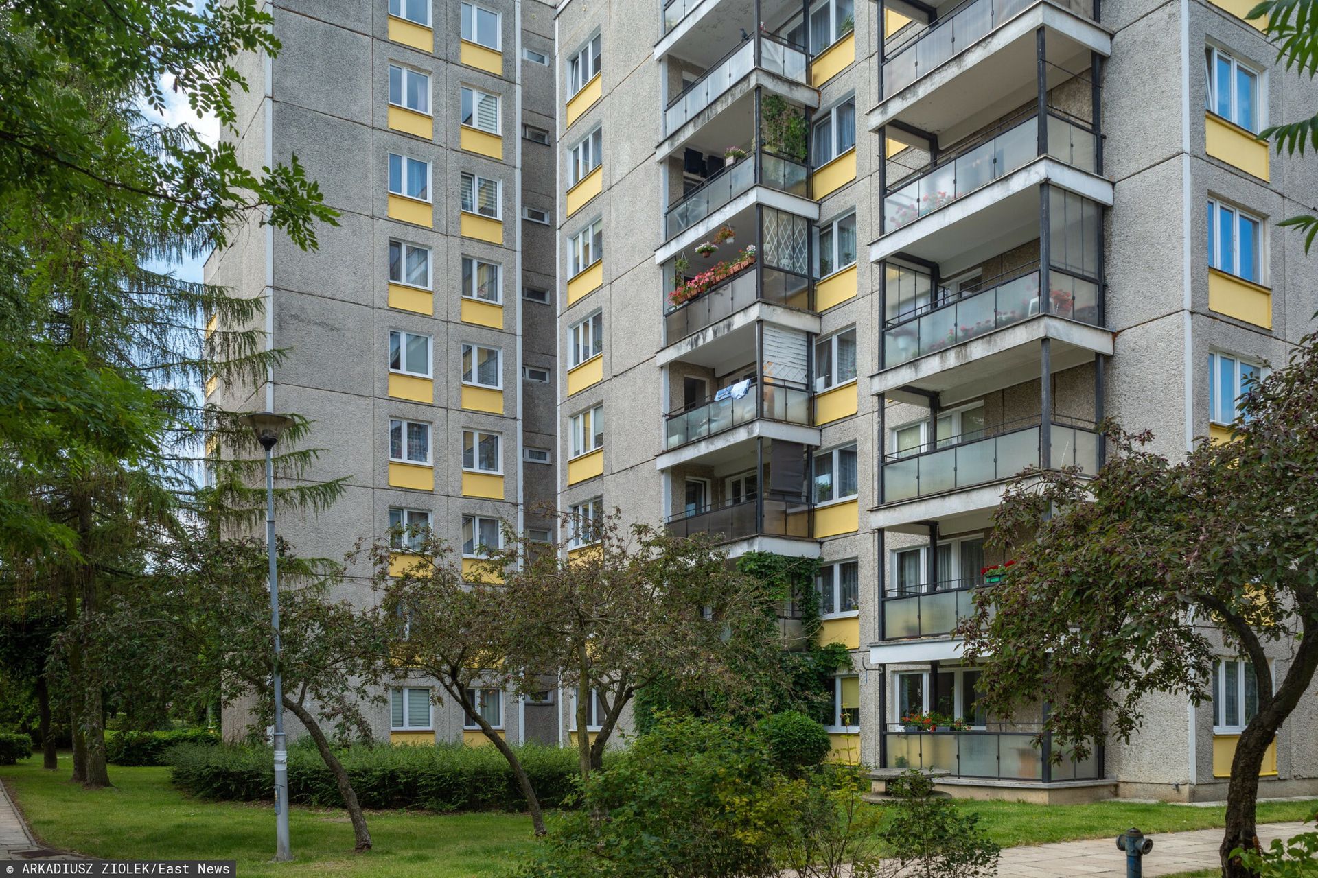 Spali na balkonie. Nie mogli pomieścić się w 70-metrowym mieszkaniu