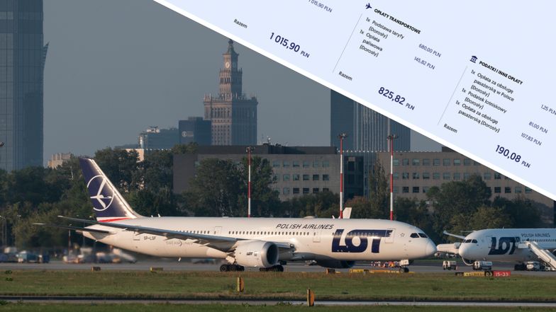 Bilety lotnicze: co składa się na cenę? Koszty uwzględnione w taryfie - Money.pl