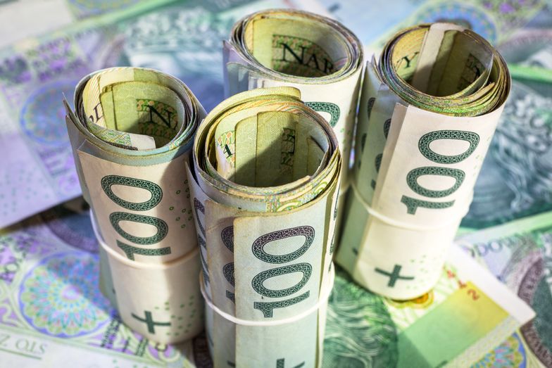 Kursy walut. Złoty zyskał trochę czasu. Ta data będzie ważna dla ...