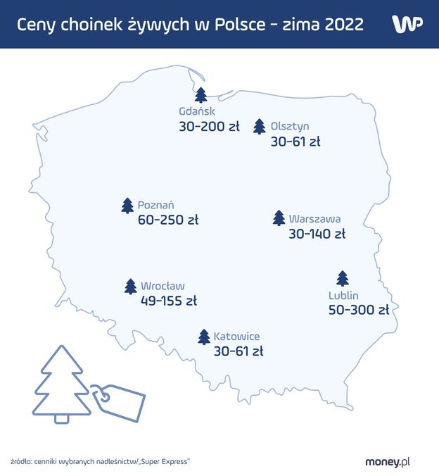 Ceny choinek - zima 2022. Będzie drożej - Money.pl