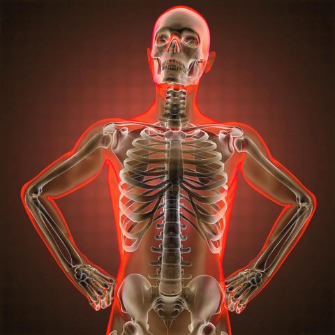 Żebra - budowa i funkcje. Ile żeber ma człowiek? | WP abcZdrowie