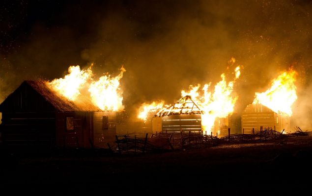 Piotr Zychowicz o filmie "Wołyń"