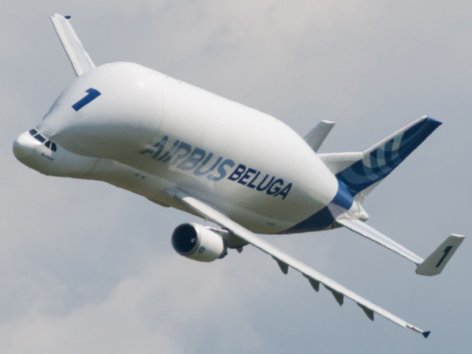 Najbrzydszy samolot świata w Polsce. Airbus A300-600ST Beluga ...