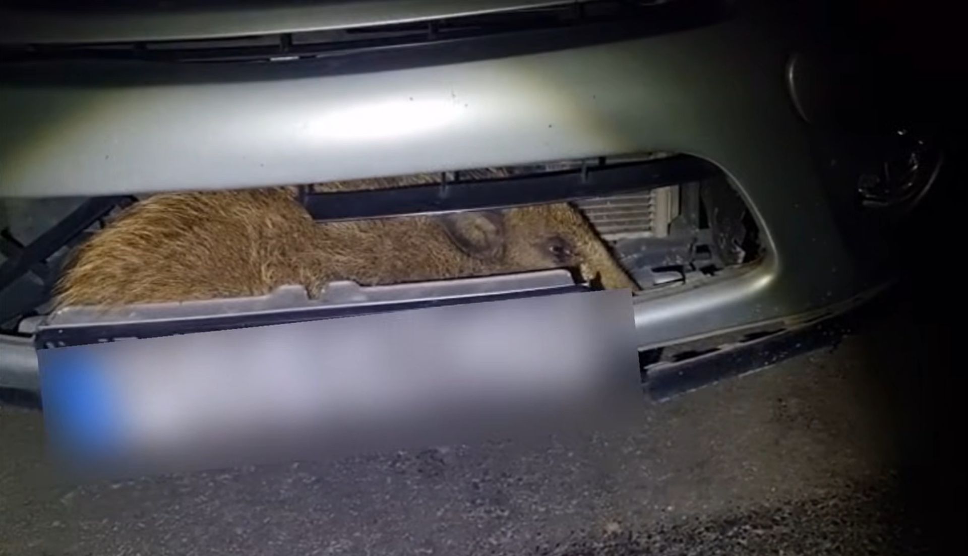 To nie fotomontaż. Aż chwycili za telefon. Ujęcie z Gostynia