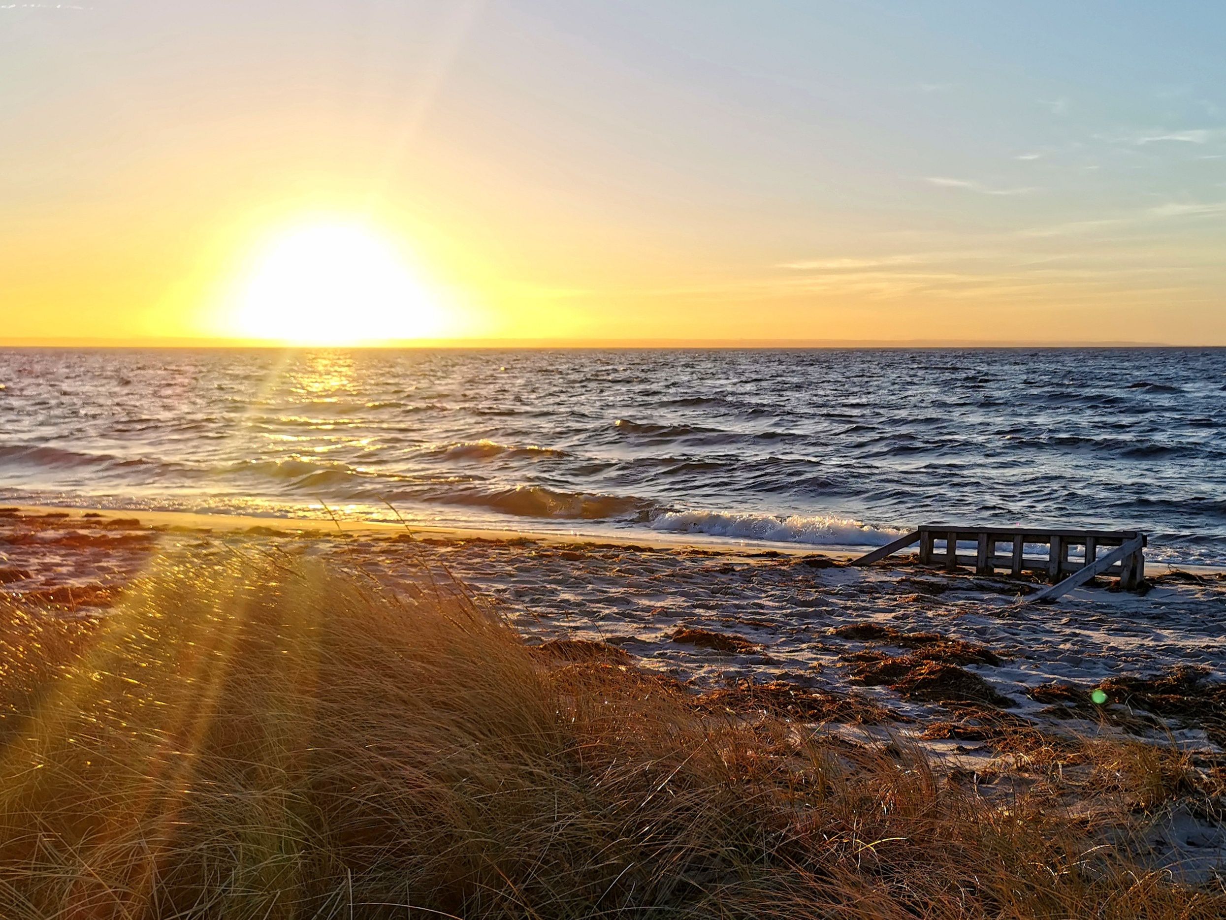 Foki, torosy i łabędzie śpiące przy wraku okrętu. Letni kurort zimą ...