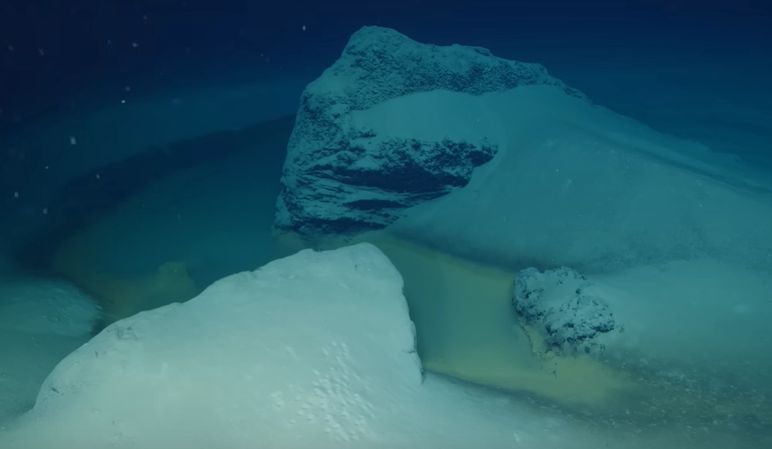 Zeszli na dno Morza Czerwonego. Takiego okrycia nikt się nie spodziewał