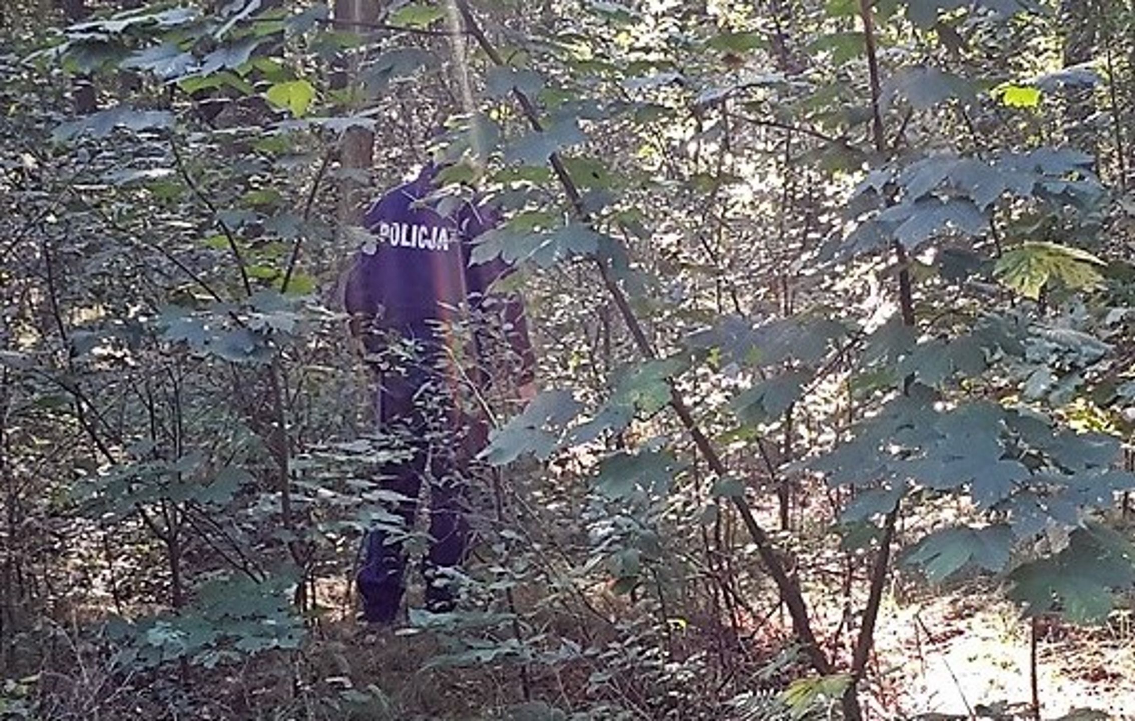 39-latka poszła na grzyby. Przeżyła horror