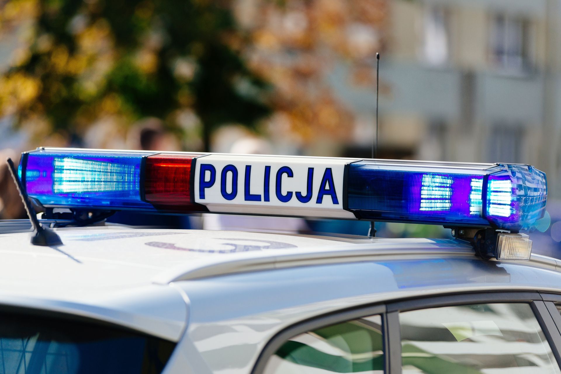 Okaleczył jastrzębia. Ptak został uśpiony. Nawet 10 mln zł kary