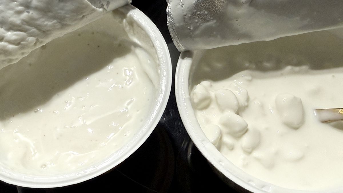 Serek wiejski czy skyr – który jest lepszy na co dzień?
