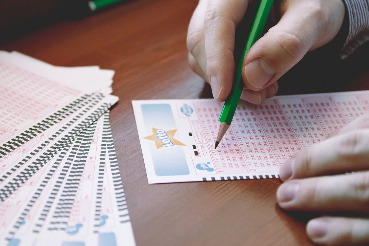 Wyniki Lotto 31.10.2024 – losowania Lotto, Lotto Plus, Multi Multi ...