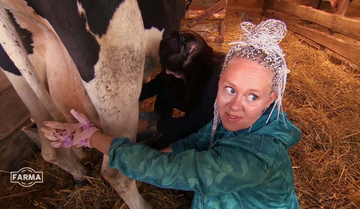 "Farma". Pierwsze kłótnia za nami. Poszło o dojenie krowy