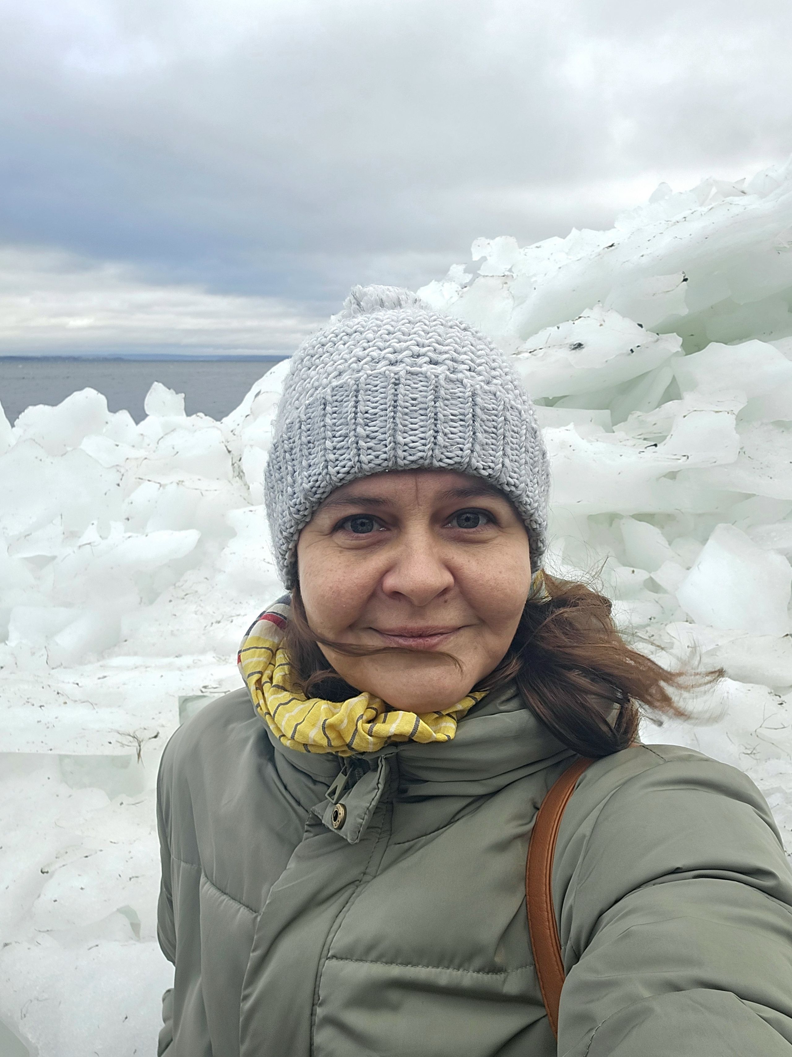 Foki, torosy i łabędzie śpiące przy wraku okrętu. Letni kurort zimą ...