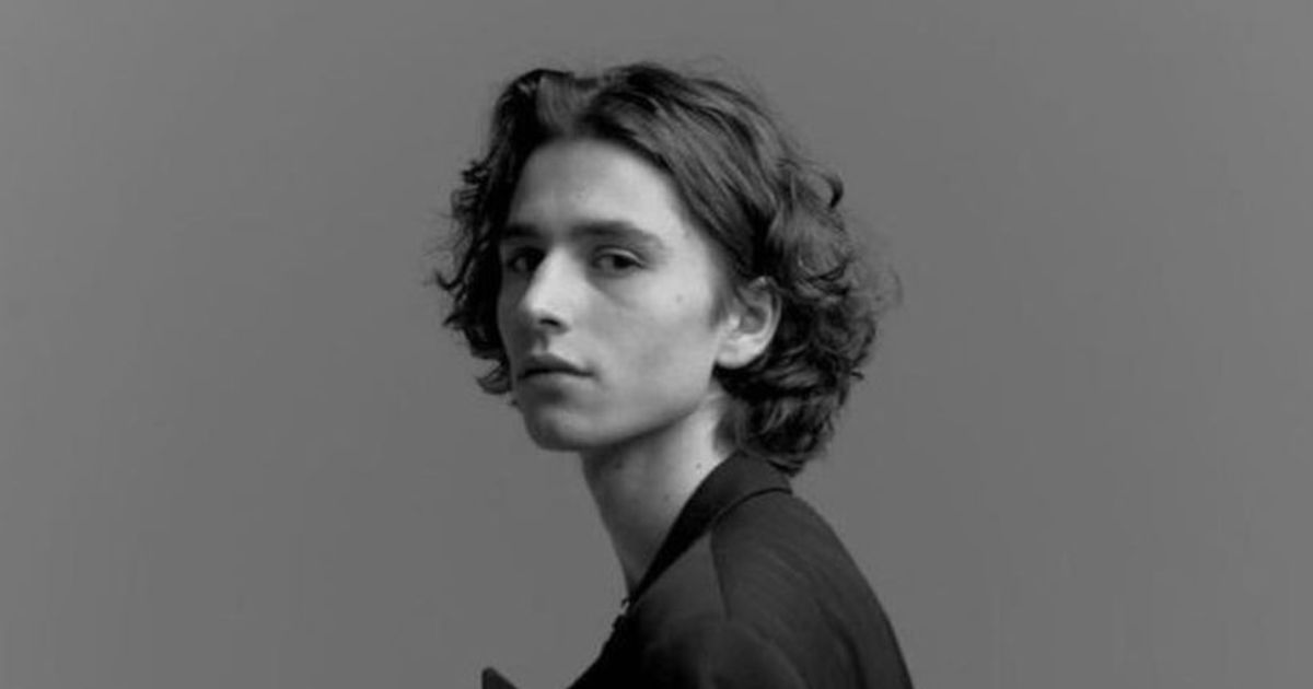Timothée Chalamet w Polsce? Mamy klona popularnego aktora - Vibez