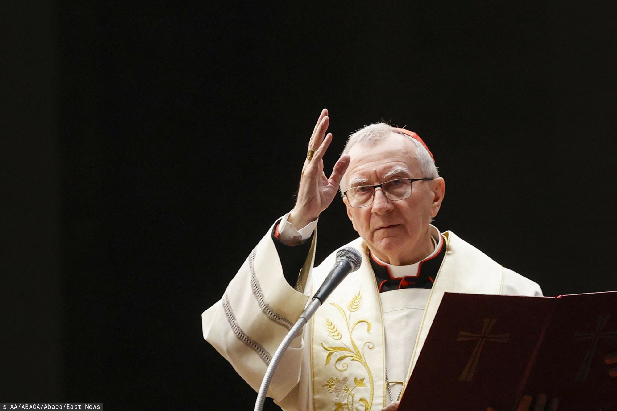 Watykańscy eksperci przewidują, kto zostanie nowym papieżem